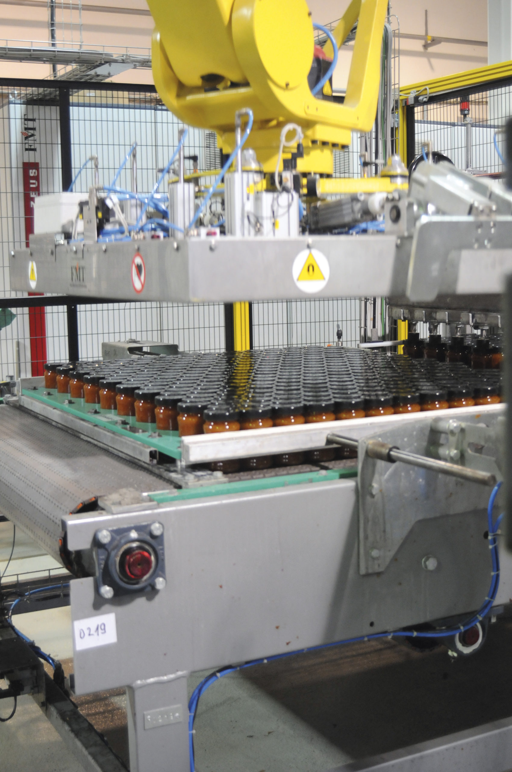 Palletiser / Depalletiser - FMT